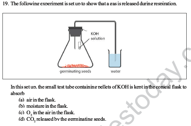CBSE Class 10 Science MCQs Set 3 with Answers CBSE Class 10 Science MCQs Set 3 with Answers